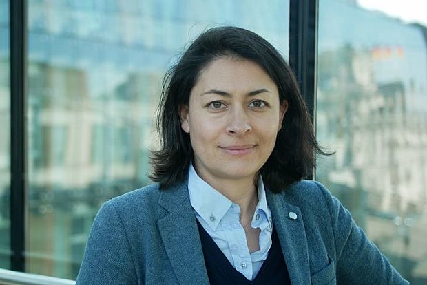 Grüne: Deutsche Bahn muss endlich eine dauerhafte Lösung für ...